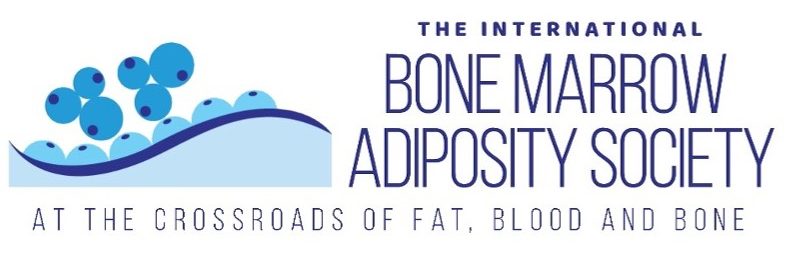 Bone Marrow Adiposity Nomenclature Guidelines