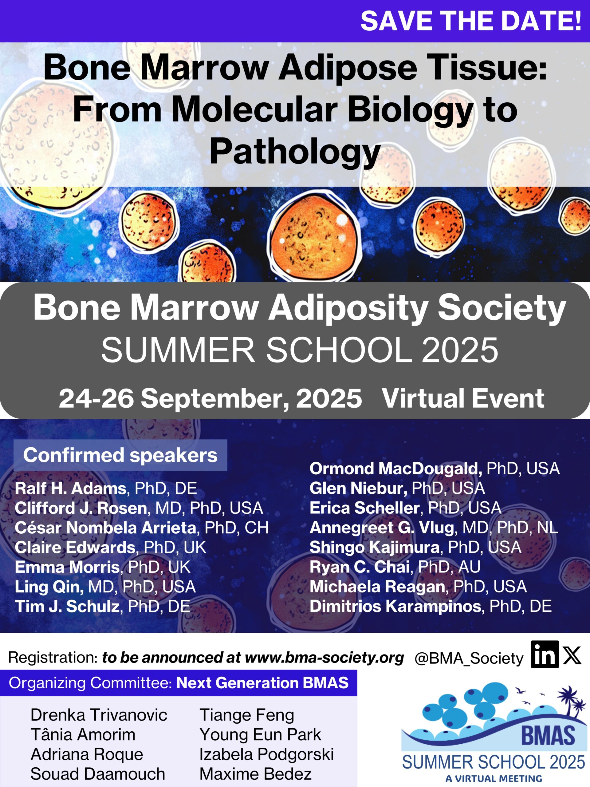 BMAS Summer School 2025